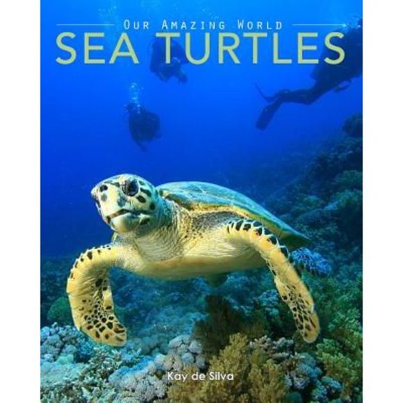 Kay De Silva | Other | Sea Turtles Amazing Pictures Fun Facts On Animals In Nature Kay De Silva ...